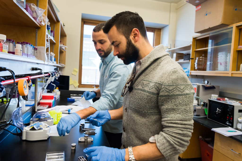 Single-cell sociobiology - MIT School of Science