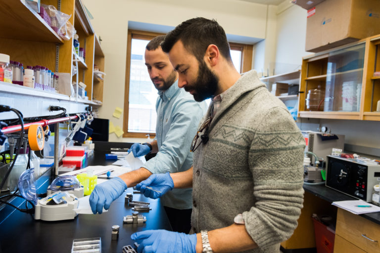 Single-cell sociobiology - MIT School of Science