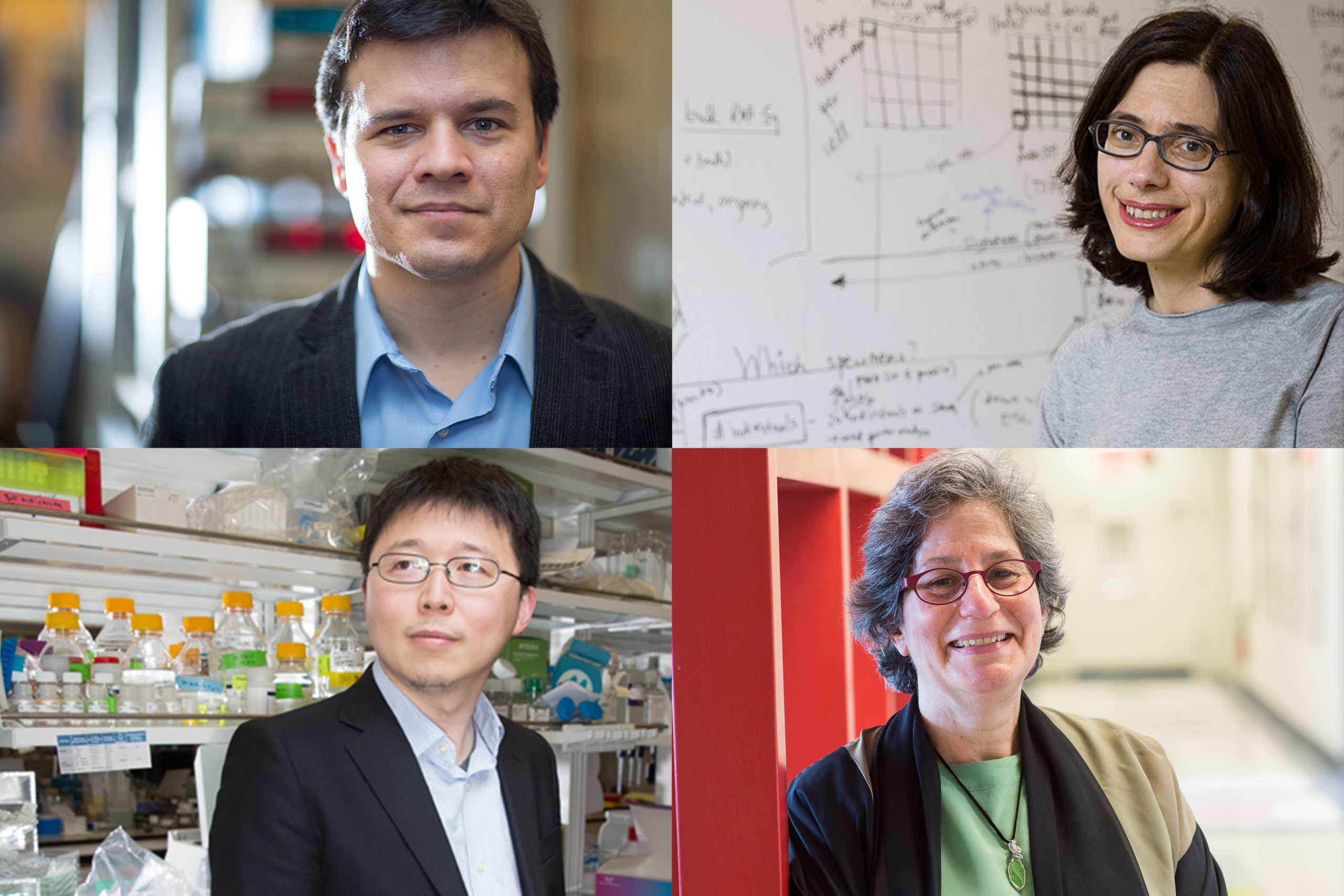 Four MIT scientists honored with 2021 National Academy of Sciences ...
