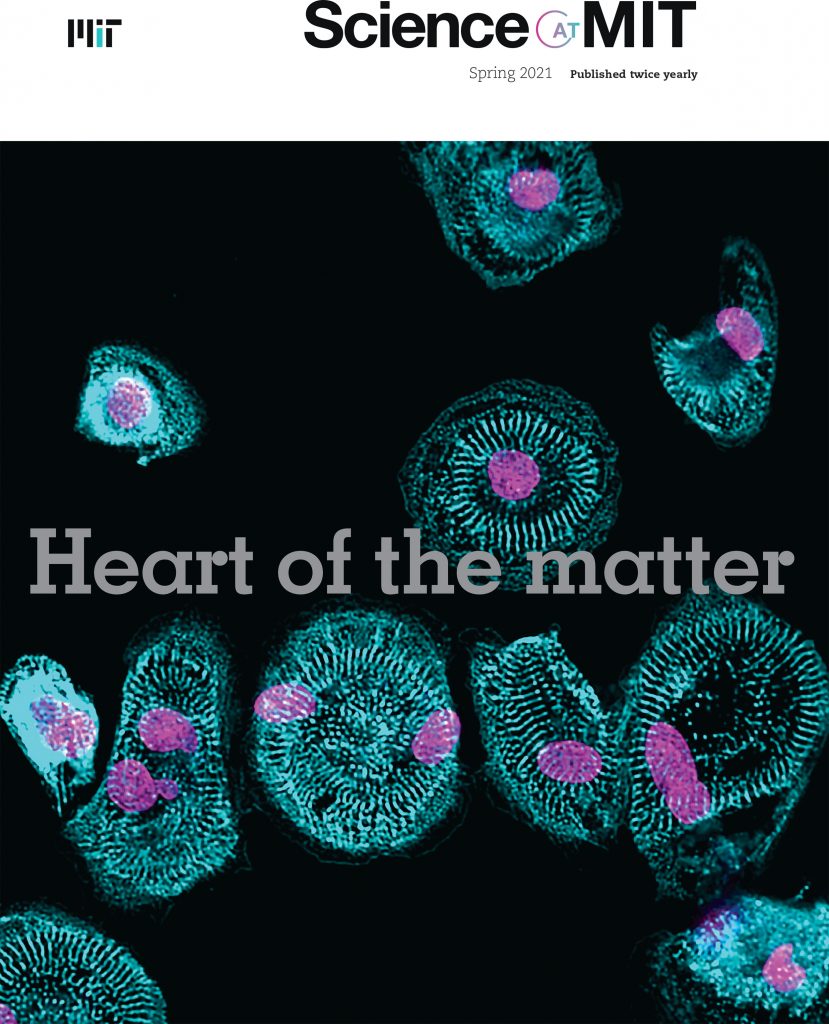 Heart of the matter (Summer 2021 issue of Science@MIT) - MIT School of ...